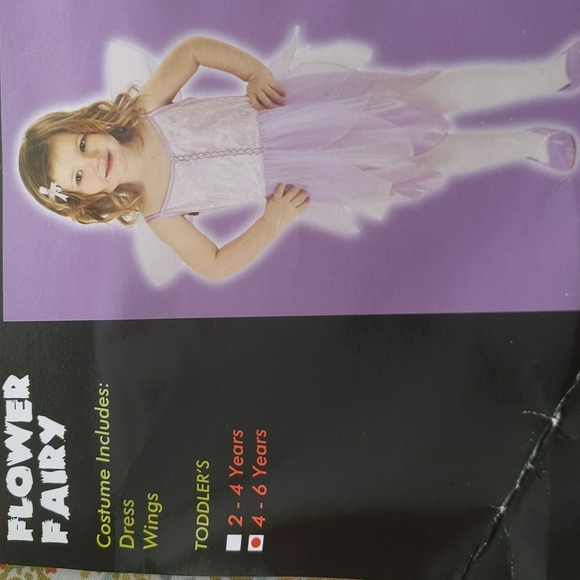 Kmart | Costumes | Flower Fairy Costume Include Detachable Wings | Poshmark